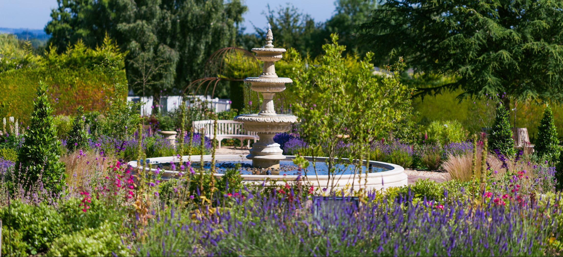Using Water for Garden Design in 2024 | Noscoe Garden Design